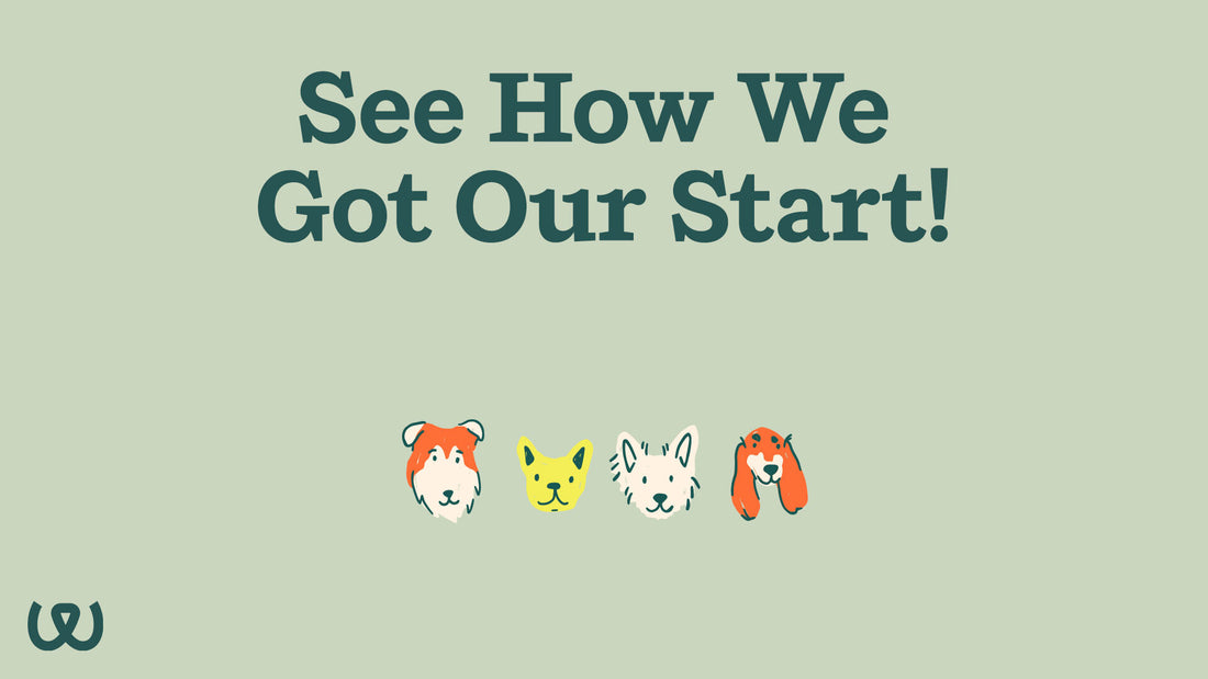 About Us - Learn About The Woof Mission