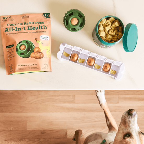 Joint Health Support - Long Lasting, Joint Supplement Pops for Dogs – Woof
