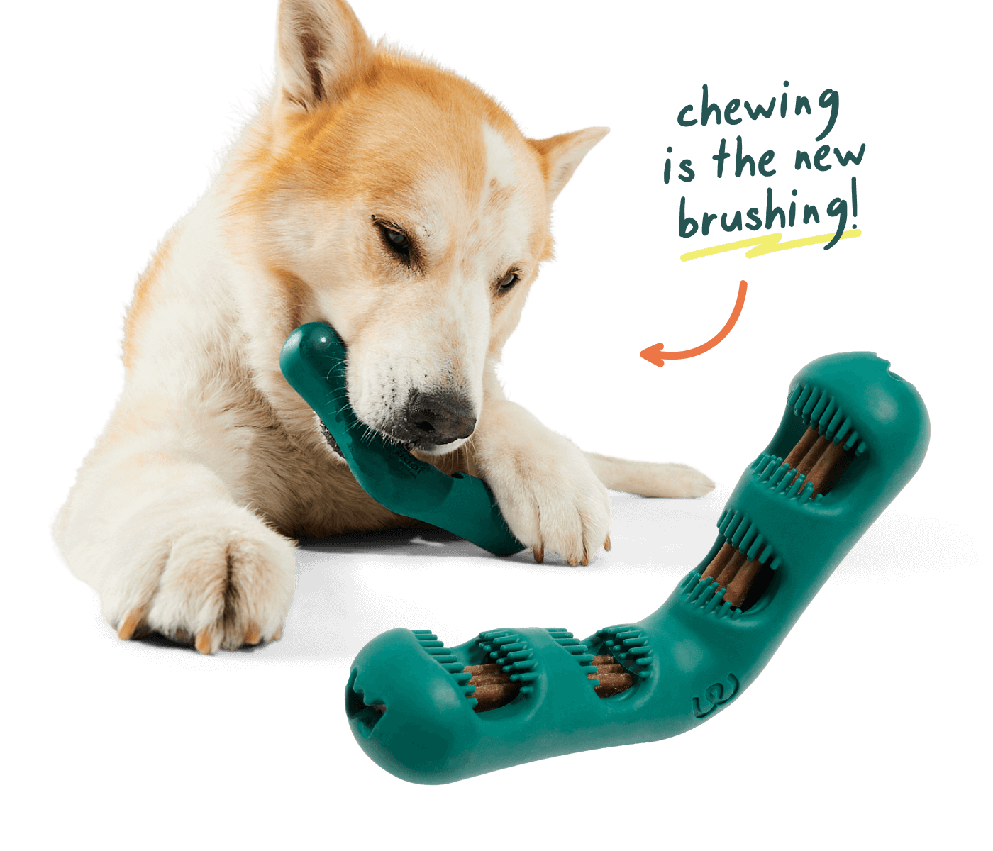 Woof Dog Products - The Amazing Pupsicle