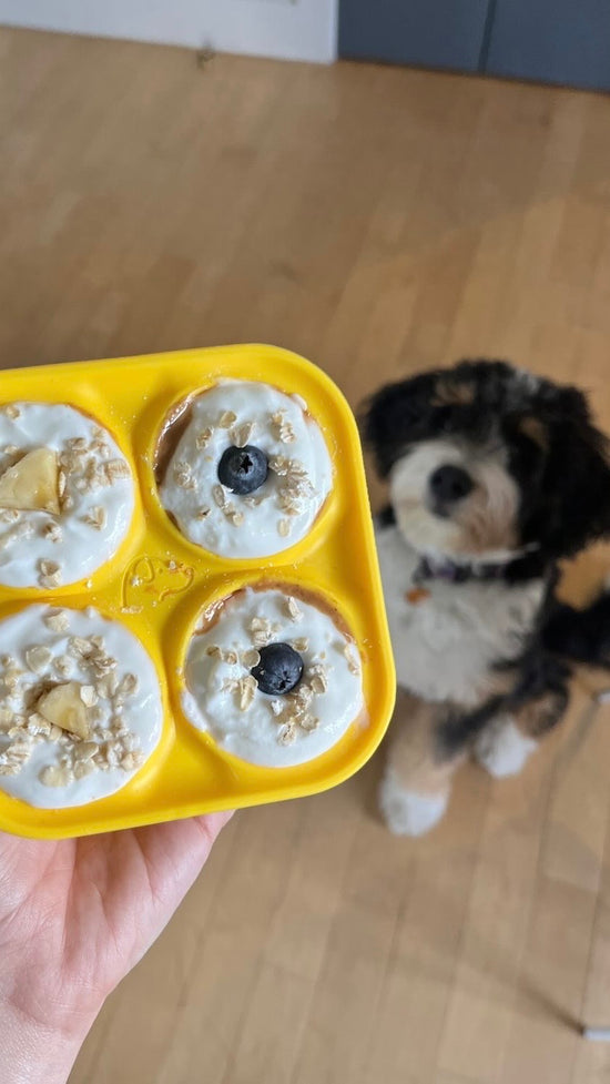 Joint Health Support - Long Lasting, Joint Supplement Pops for Dogs – Woof