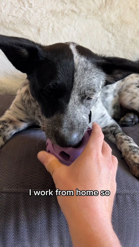 Pupsicle Mix – Woof