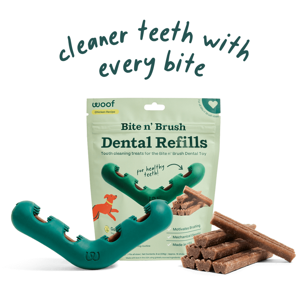 The Bite n' Brush Starter Pack – Woof