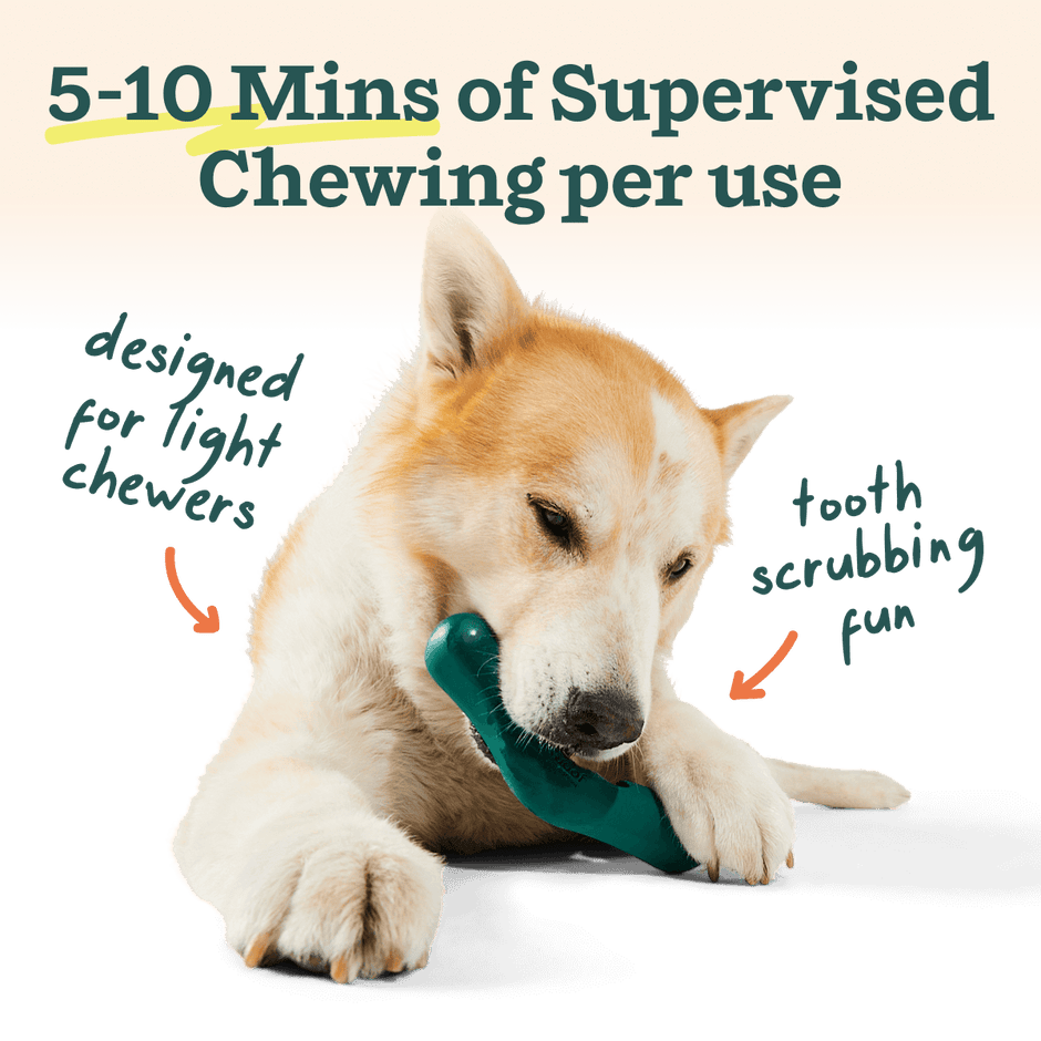 The Brighter Smiles Pack – Woof