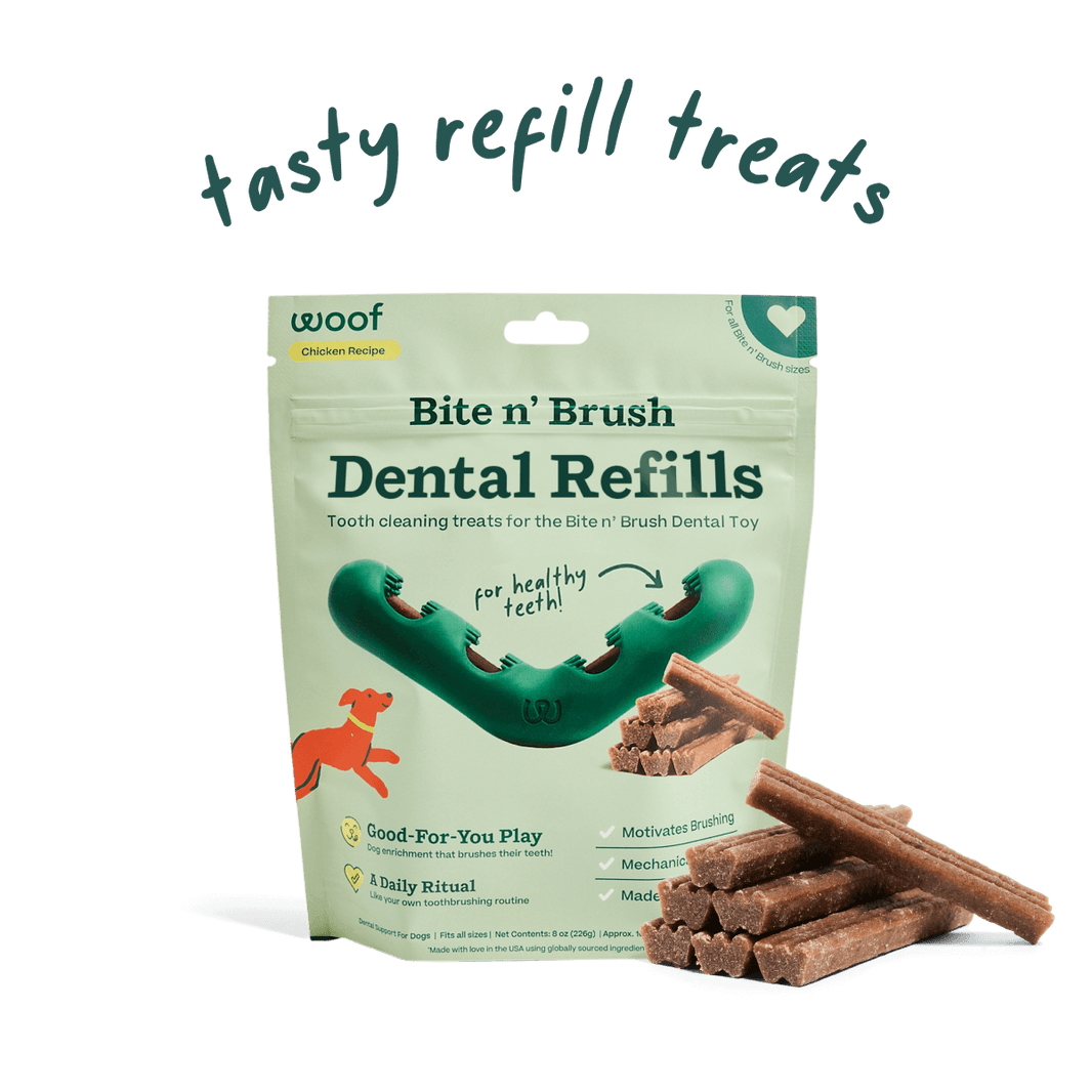 Bite n' Brush Refills – Woof