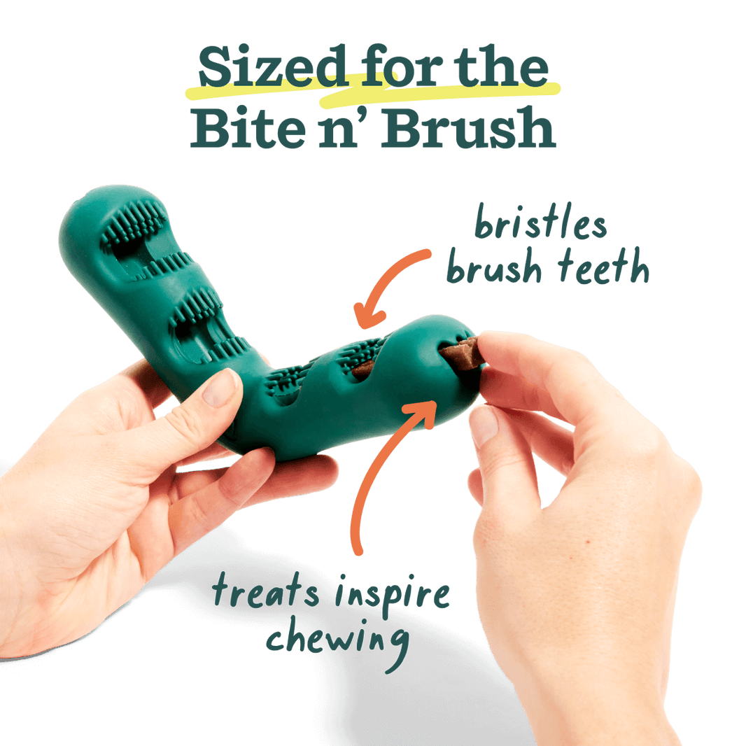Bite n' Brush Refills – Woof
