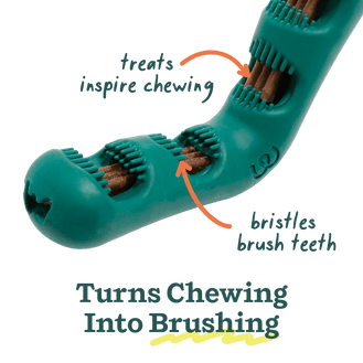 The Bite n' Brush – Woof