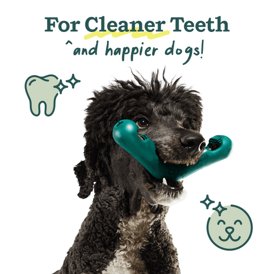 The Bite n' Brush – Woof