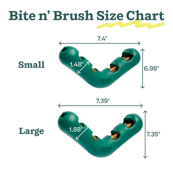 The Bite n' Brush – Woof
