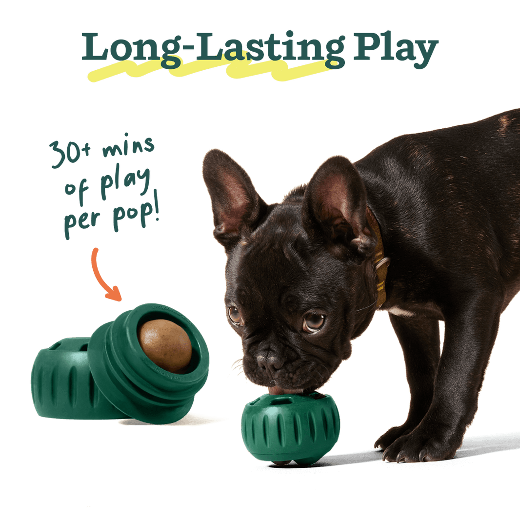 Woof Pupsicle Pops - Premade Long Lasting Dog Pupsicle Pop Treats