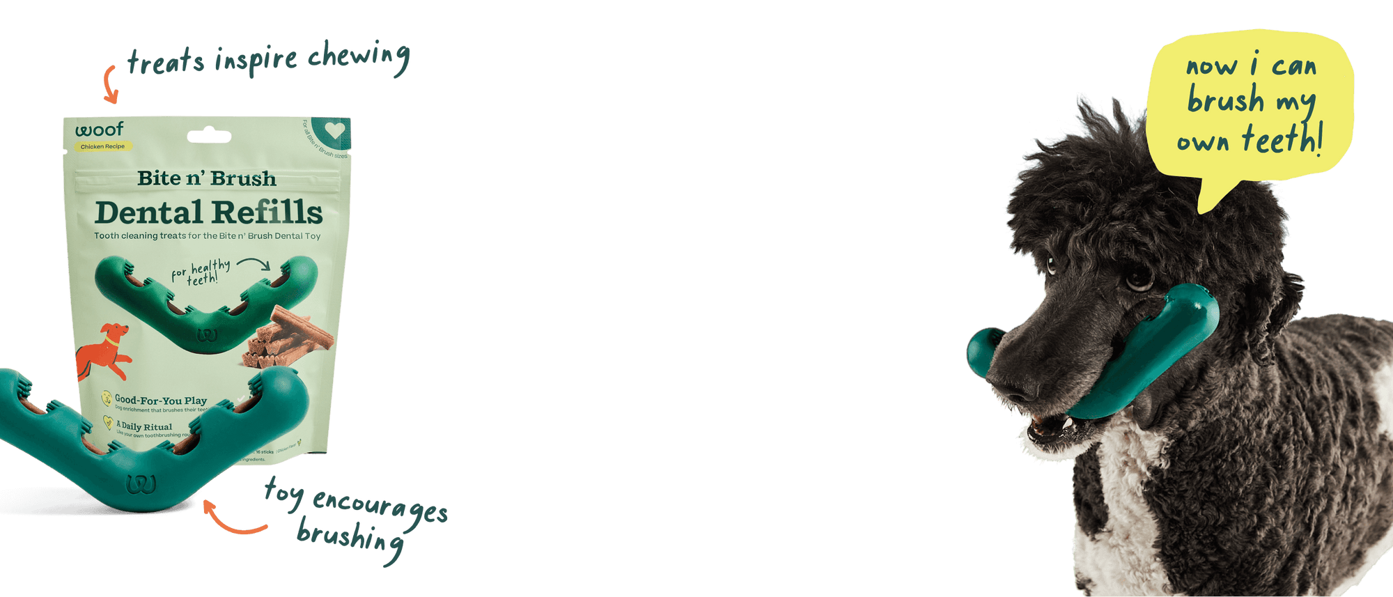 The Bite n' Brush – Woof