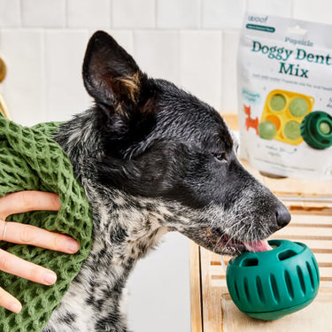 Dental Mix LP – Woof