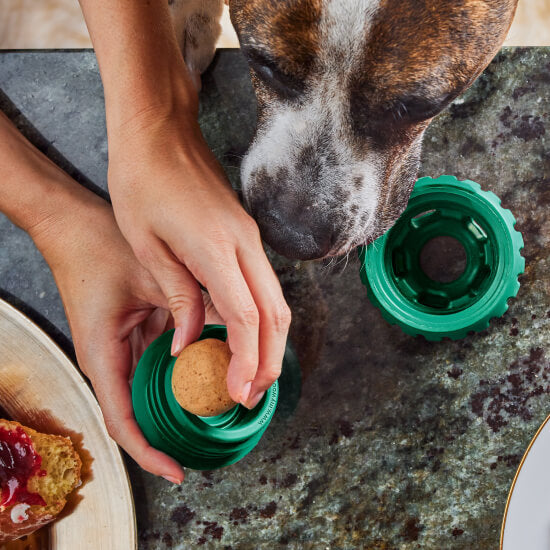 Woof Pupsicle Pops - Premade Long Lasting Dog Pupsicle Pop Treats