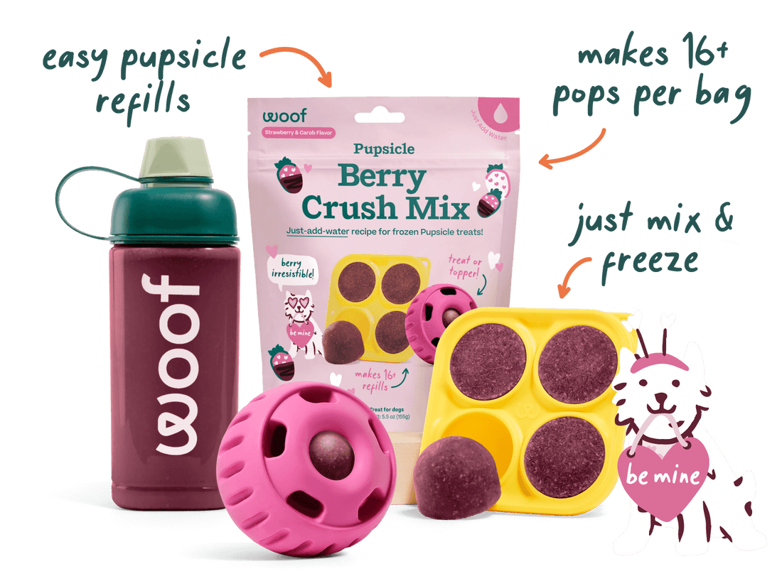 Berry in Love – Woof