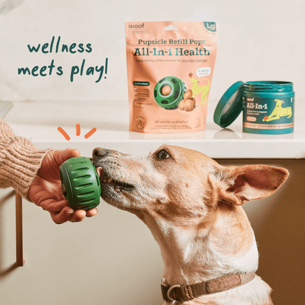 All-In-1 Wellness Pops – Woof
