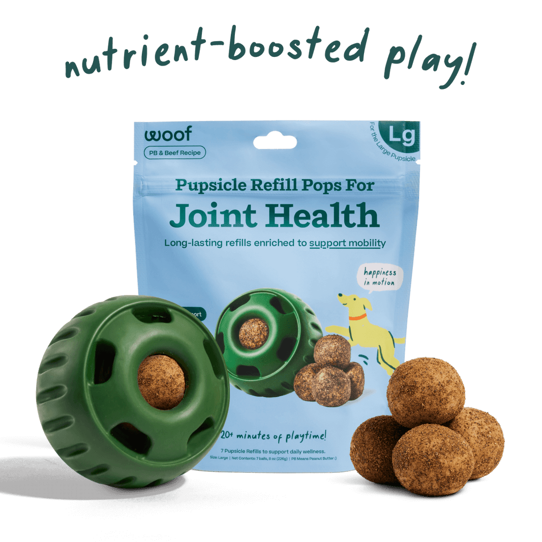 Joint Health Support - Long Lasting, Joint Supplement Pops for Dogs – Woof
