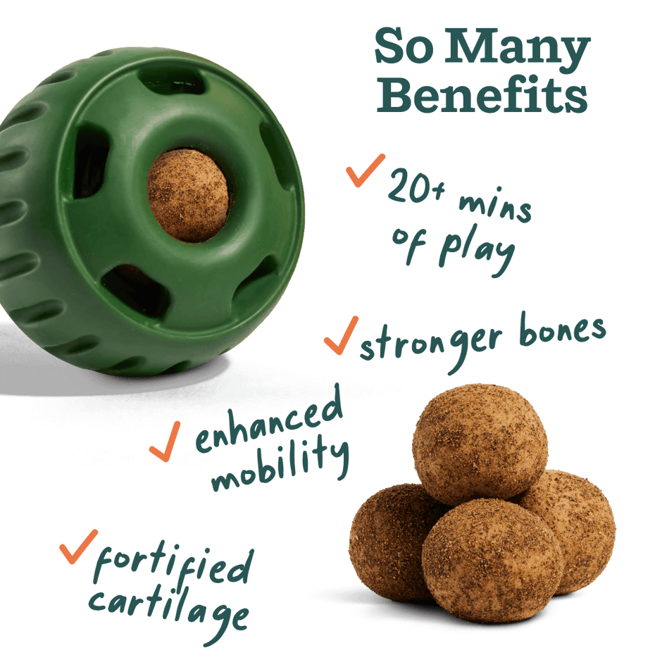 Joint Health Support - Long Lasting, Joint Supplement Pops for Dogs – Woof