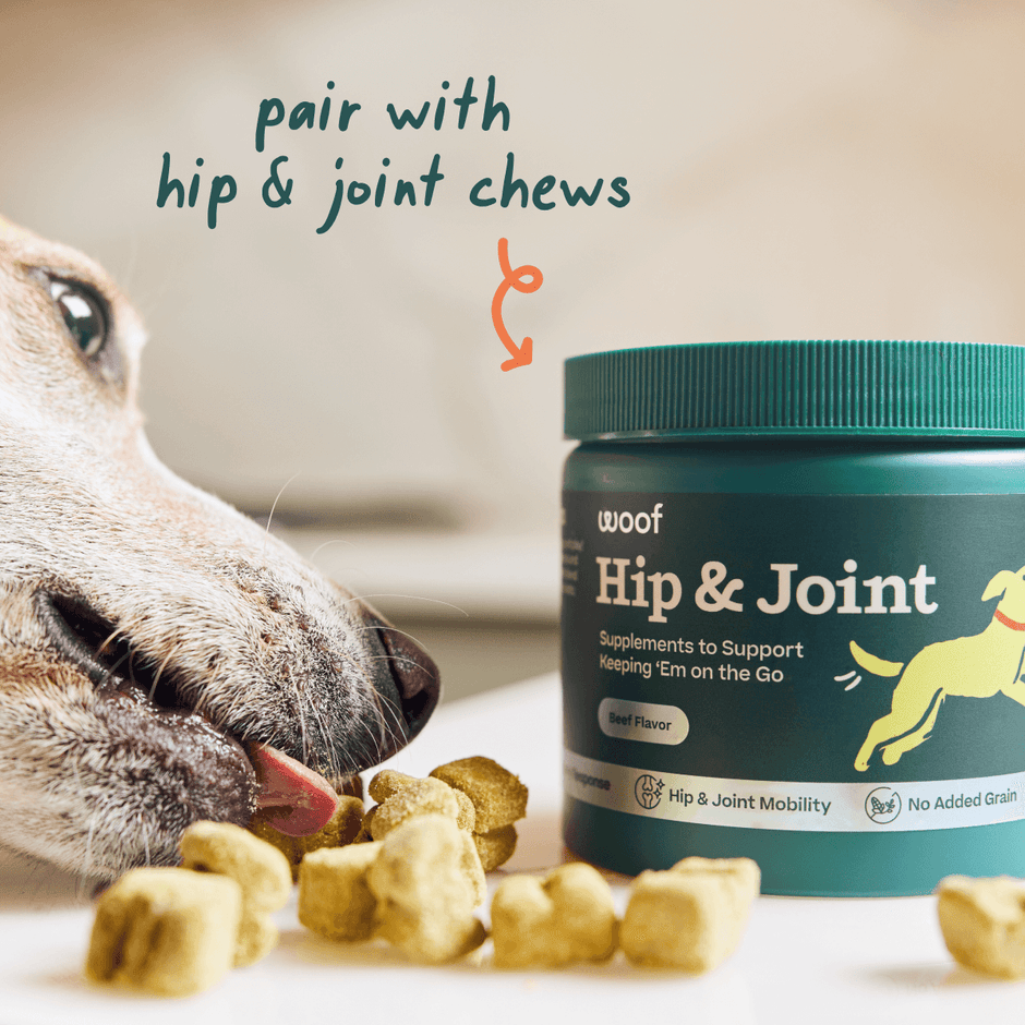 Joint Health Support - Long Lasting, Joint Supplement Pops for Dogs – Woof