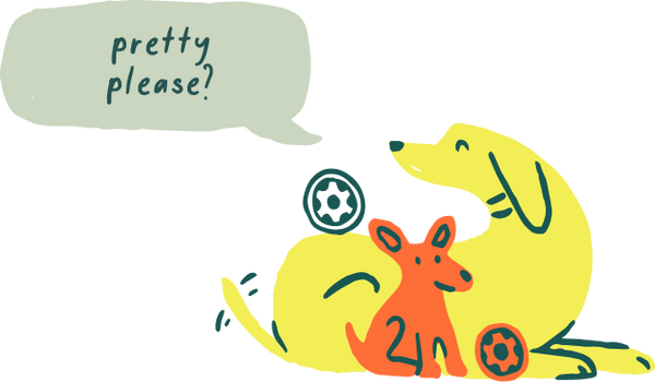 The Pupsicle – Woof