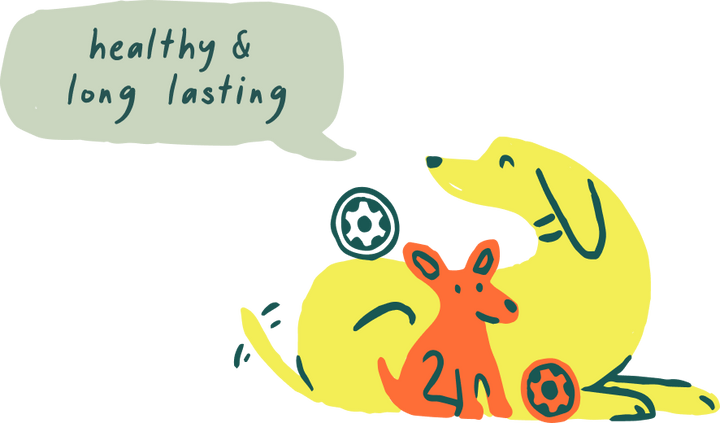 Woof Pupsicle Pops - Premade Long Lasting Dog Pupsicle Pop Treats